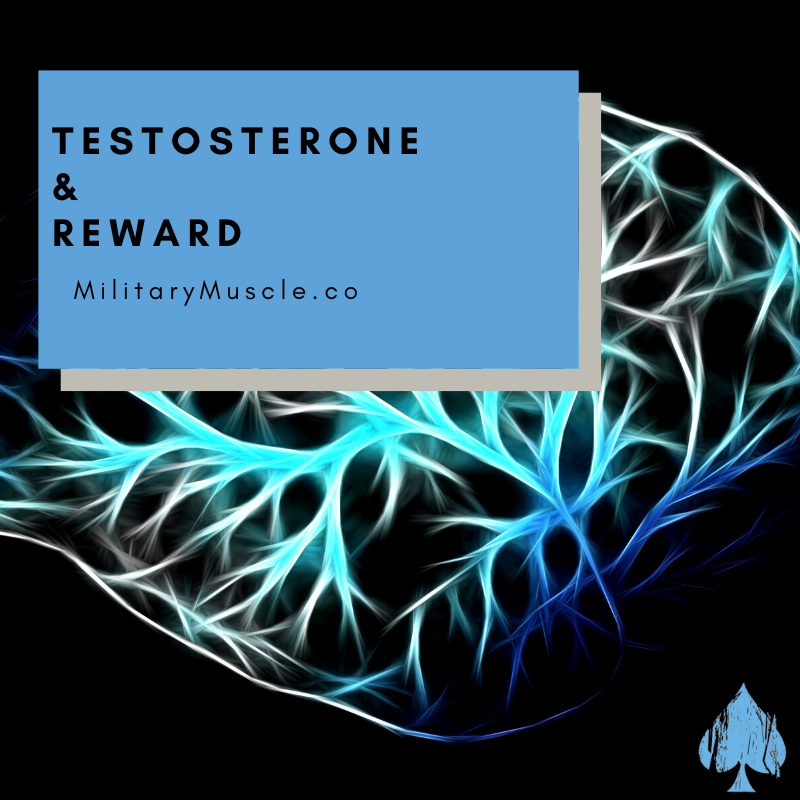 How Testosterone Affects Behavior – Military Muscle Tactical Nutrition