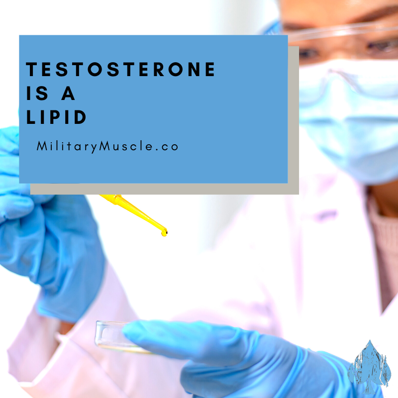 Why are Steroids Considered Lipids? – Military Muscle Tactical Nutrition