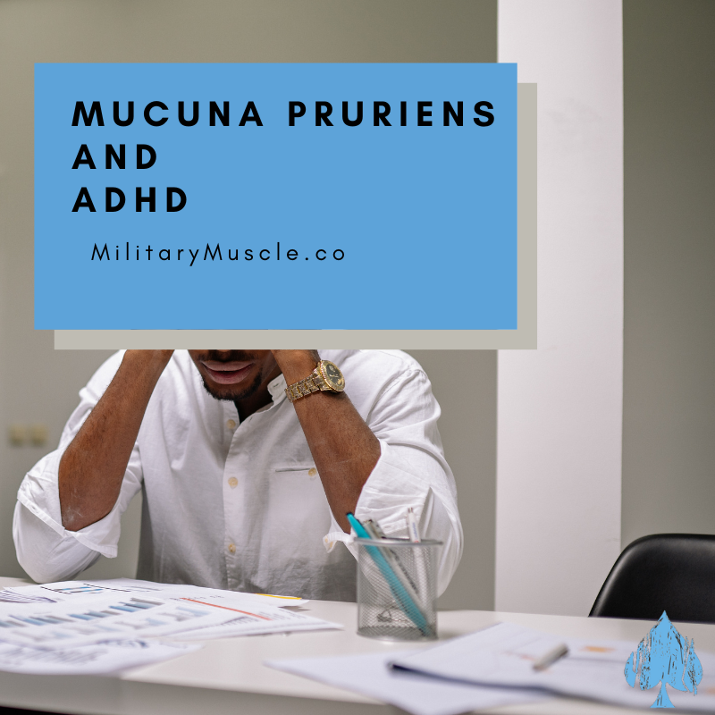 Mucuna Pruriens For ADHD – Military Muscle Tactical Nutrition