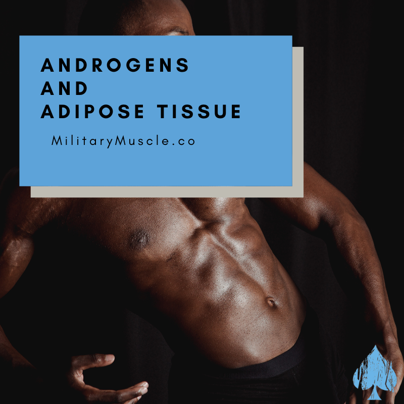 What Hormone Burns Body Fat? – Military Muscle Tactical Nutrition