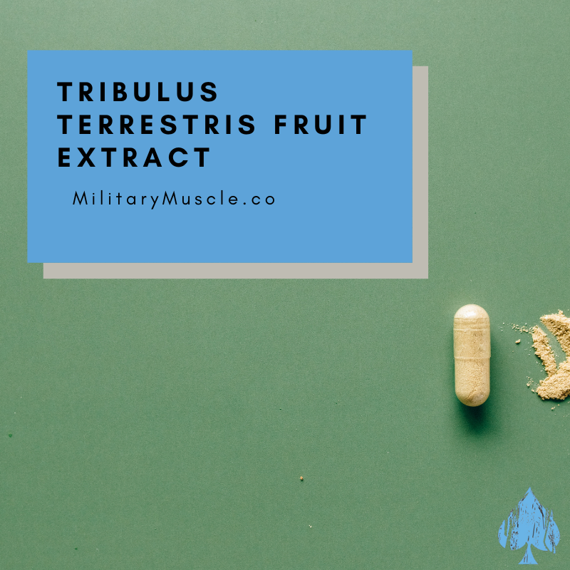 Understanding the Science Behind Tribulus Terrestris Fruit Extract ...