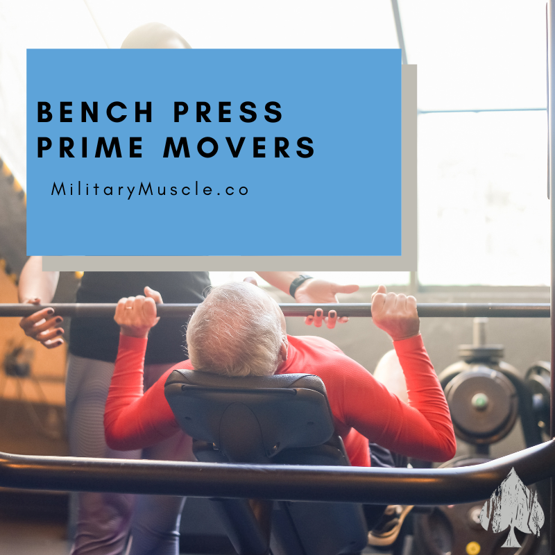 Bench Press Muscles Activated – Military Muscle Tactical Nutrition